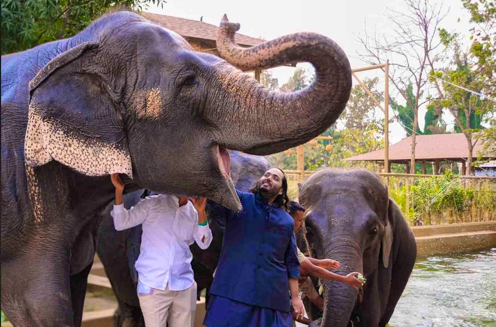 39,000 animals imported: Billionaire's son builds private zoo - and now has the police on his ...