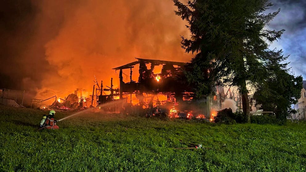 Police are looking for witnesses: Major fire in Höri: Hall and barn ...