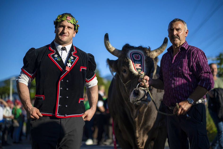 Empfang im Video: Hier wird Schwingerkönig Armon Orlik zu Hause in ...
