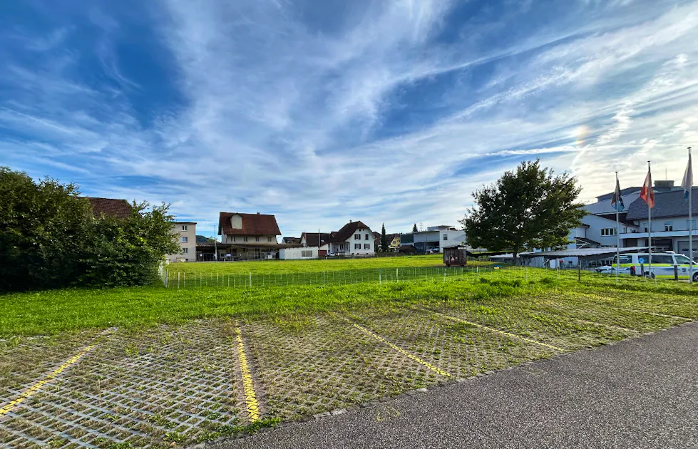 Acht Tiere ab Weide geklaut: Schaf-Raub stellt Aargauer Polizei vor ...