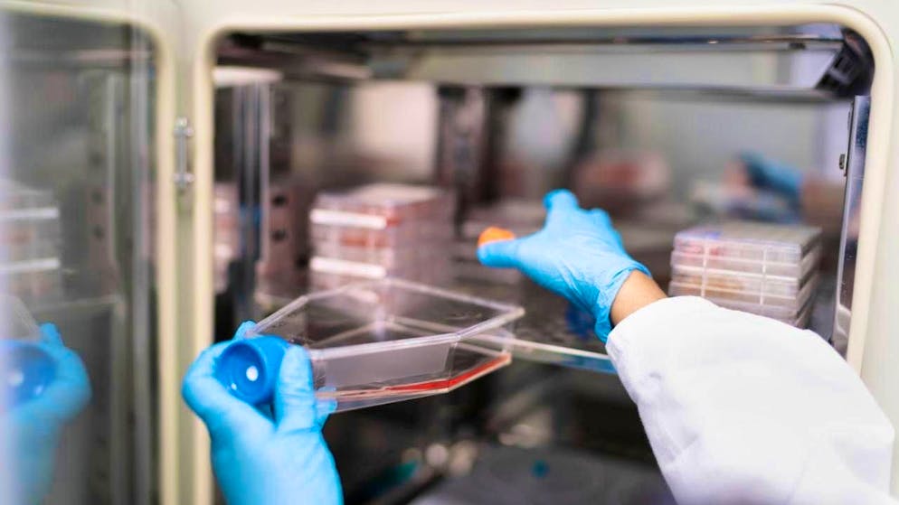 Israeli company opens first laboratory meat plant in Kemptthal ZH ...