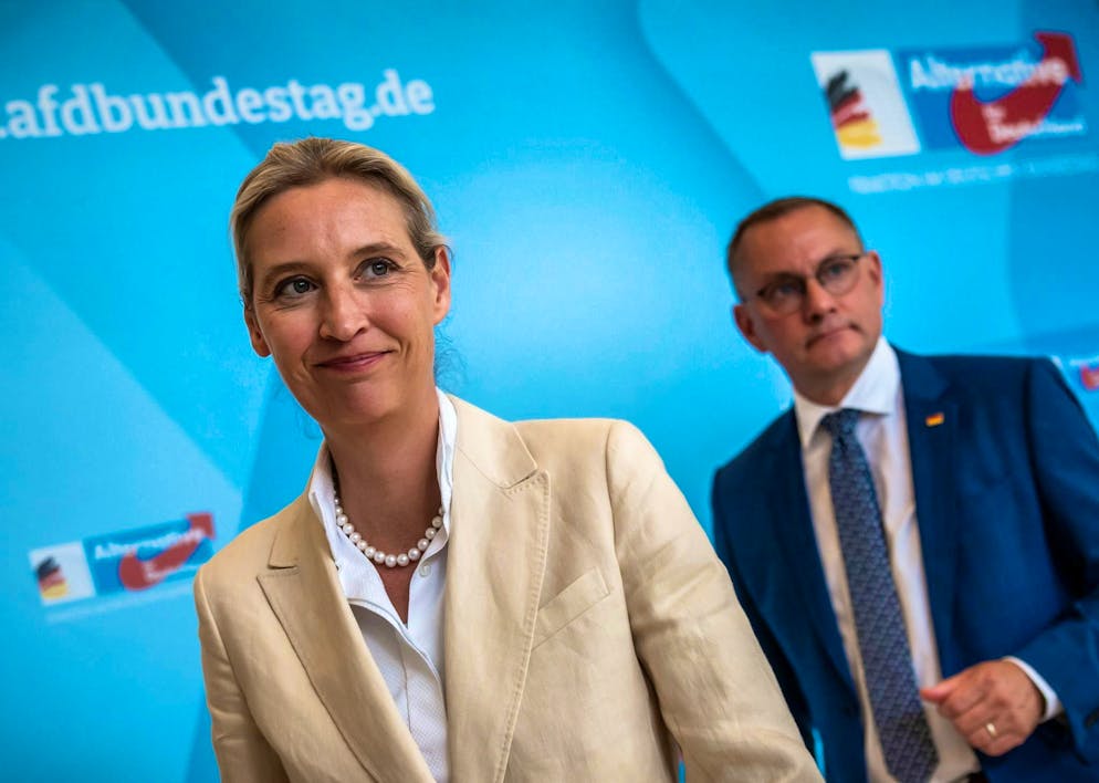 AfD safe after election success - firewall will fall | blue News