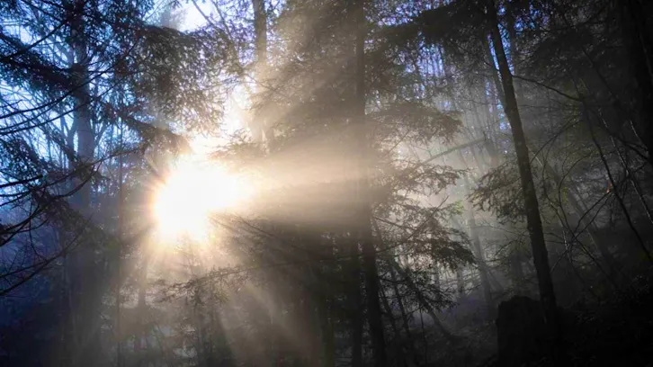 Climate: The Earth is reflecting less and less sunlight | blue News