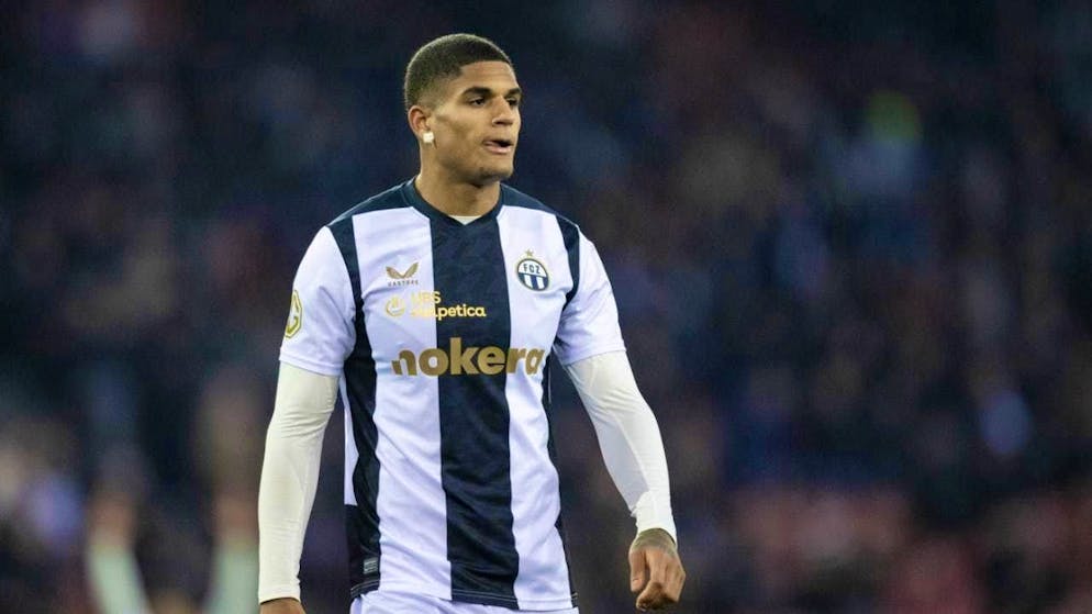 Angry coaches and a ridiculous swallow: The most bizarre scenes of the ...