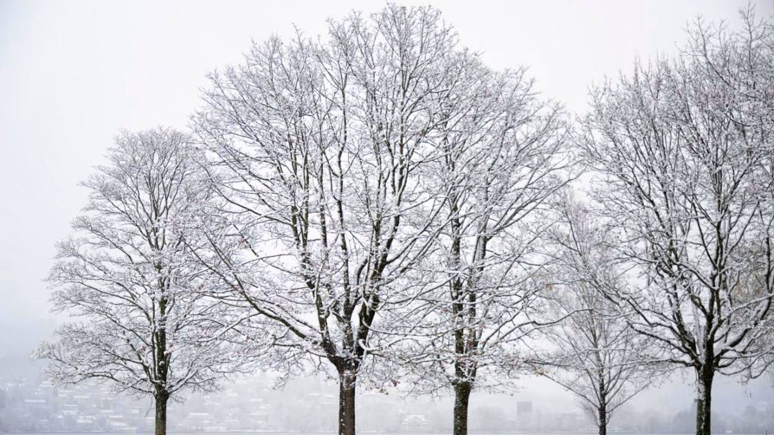 Weather: MeteoSwiss expects mild winter despite weaker polar vortex ...