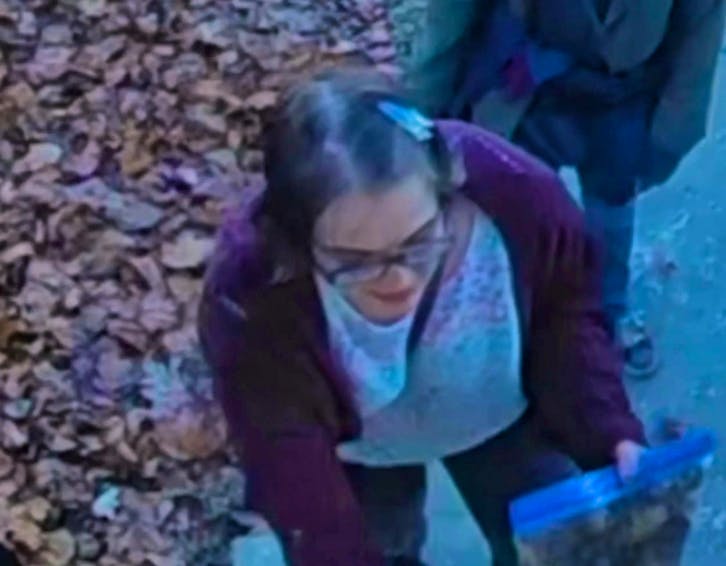 Caso «Slender Man» del 2014: Giovane condannata all'internamento riesce ...