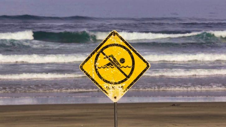 Recreational accident: Swiss woman dies in shark attack in Australia ...