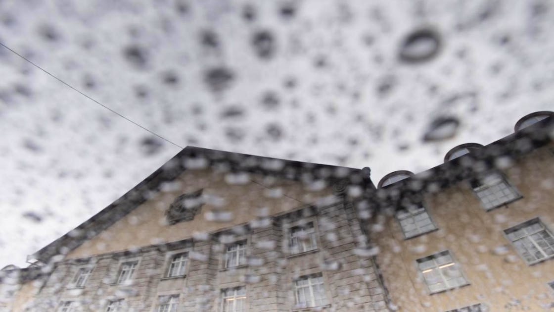 "Travis the Creator": Zurich court acquits influencer of rape ...