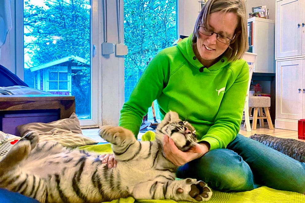 Tiger zoo set up in Germany: SRF emigrant Alexandra Taetz dies at the ...
