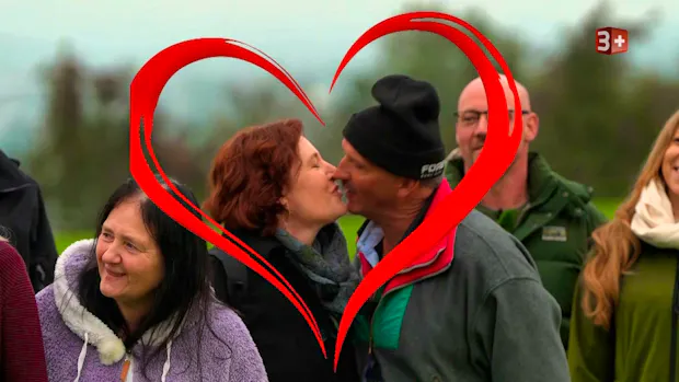 Love or not: Pure chaos on "Bauer, single, sucht" - is there a scandal ...