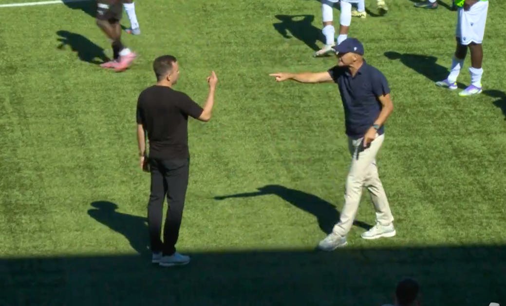 Angry coaches and a ridiculous swallow: The most bizarre scenes of the ...