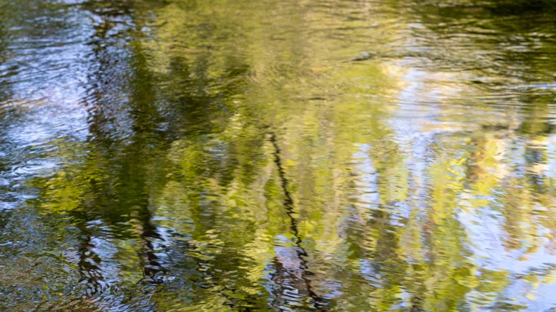 Ambiente: LU: altissimi livelli di pesticida nel fiume Wyna | blue News