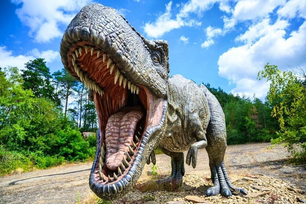 T-Rex needed decades to grow up | blue News