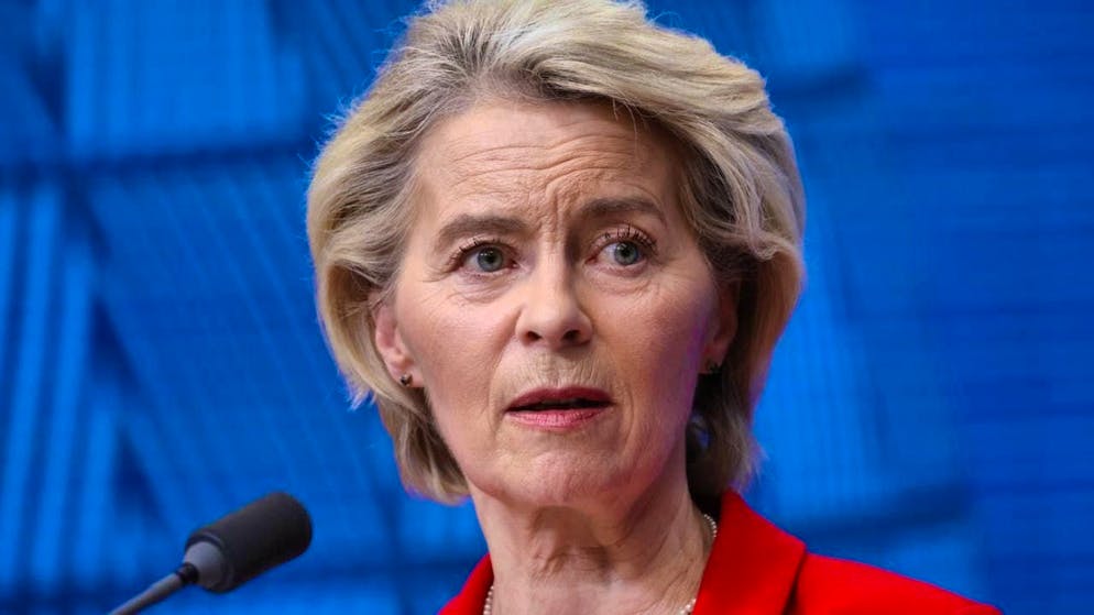 Europe: Lessons from the Greenland crisis: EU wants to stand up to ...