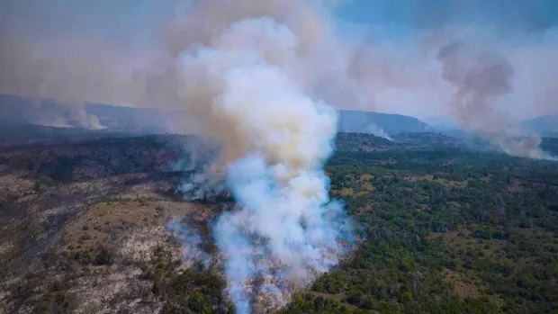 Latest news: Forest fires in Patagonia: Argentina declares a state of ...
