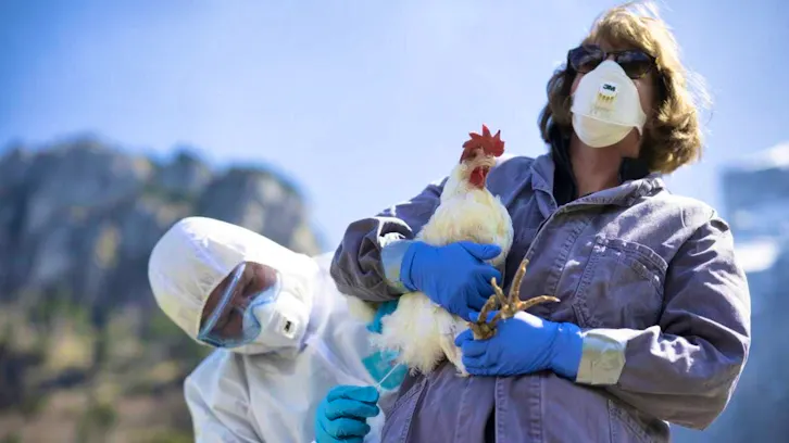 Knowledge: Antibodies against seasonal flu also protect against bird ...