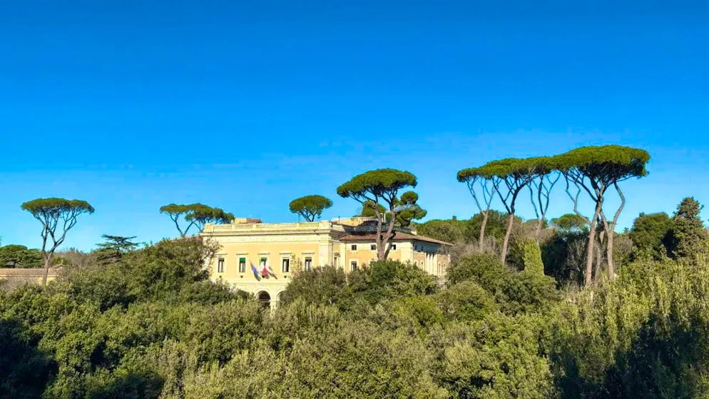 Italy: Rome's pine trees in danger: is there a threat of major tree ...