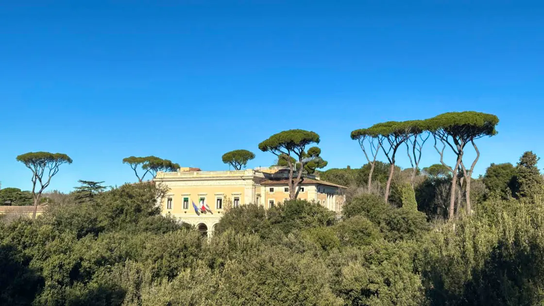 Italy: Rome's pine trees in danger: is there a threat of major tree ...