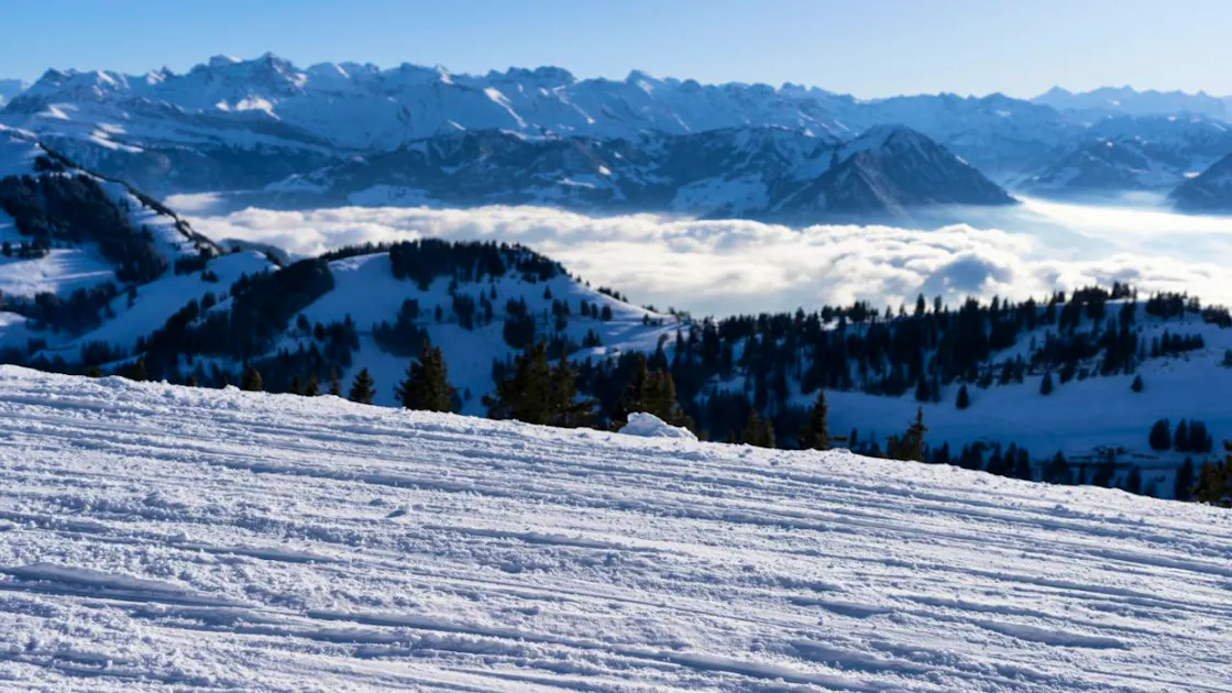 Climate: Warm and dry winter with cold snap in early January | blue News