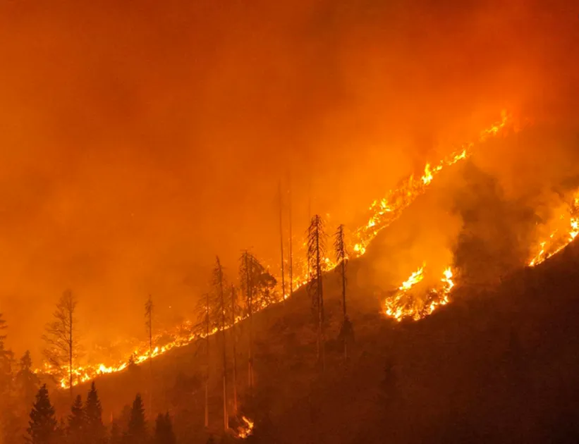 Forest fire rages on in Austria - great danger in Switzerland too ...