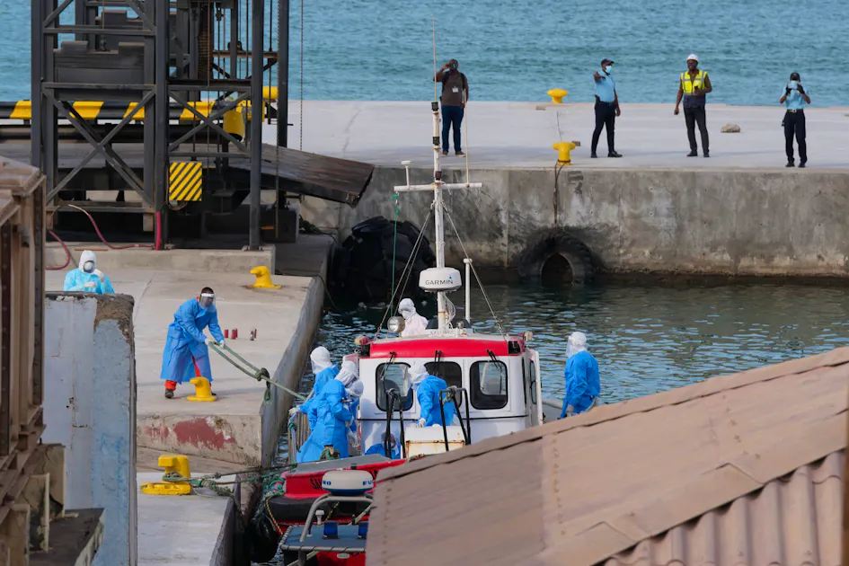 Infected people on board: WHO searches for passengers | blue News