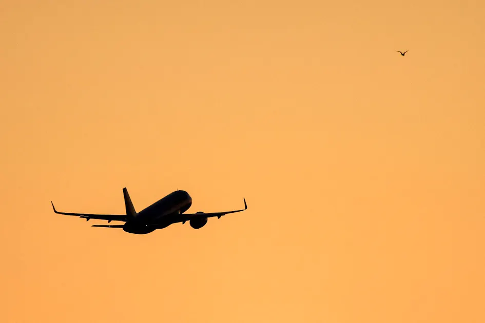 Couple arrested after having sex on a plane | blue News