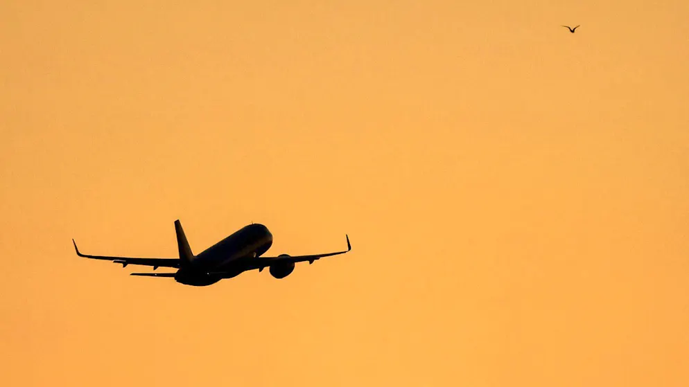 Couple arrested after having sex on a plane | blue News