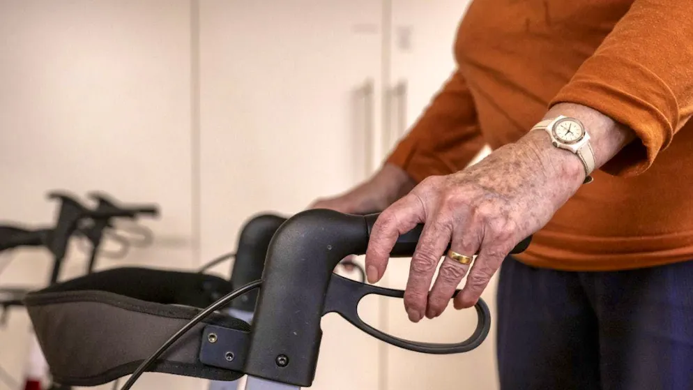Biology: New "gene clocks" measure biological age in real time | blue News