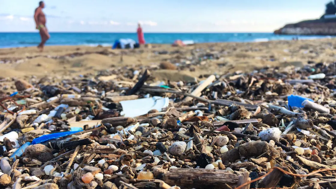 Environment: Food packaging in particular is littering the oceans ...