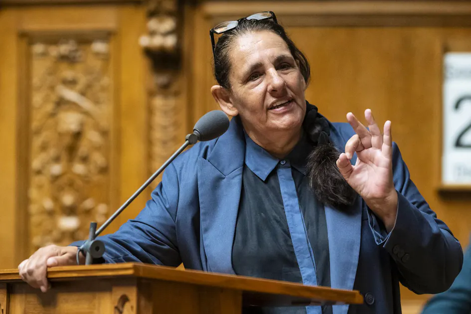 After his non-nomination: Jacqueline Badran calls Daniel Jositsch "a ...