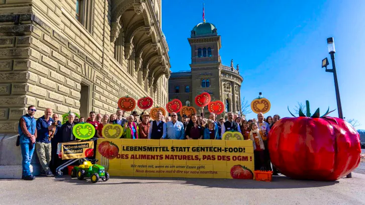 5000 signatures missing - initiative becomes a criminal case | blue News