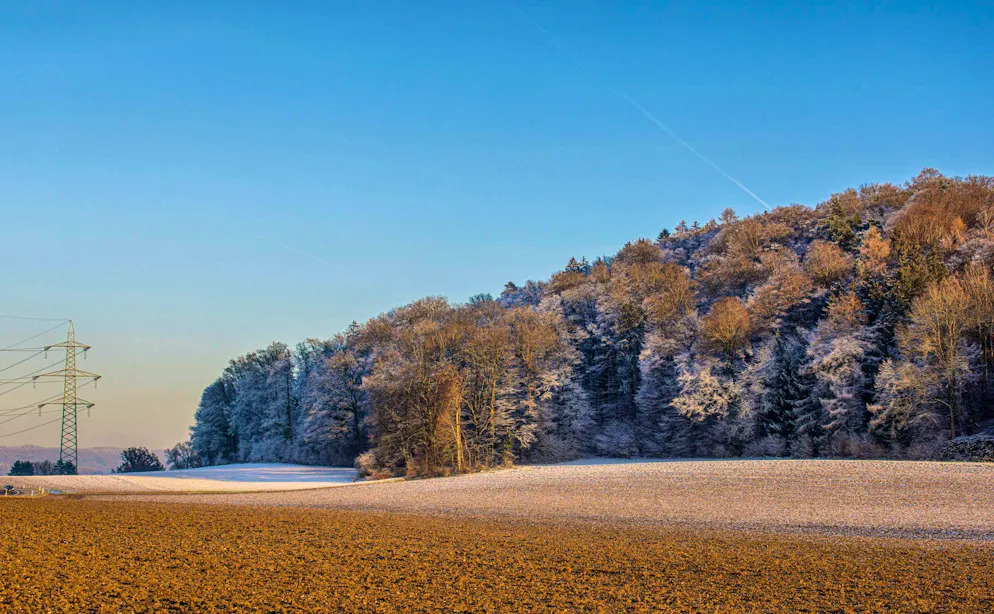 Climate researcher warns: Switzerland not prepared for the collapse of ...