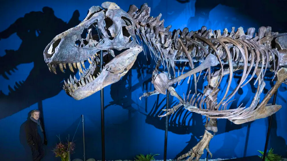 Miscellaneous: Handbag made from alleged T-Rex skin cells fails to find ...