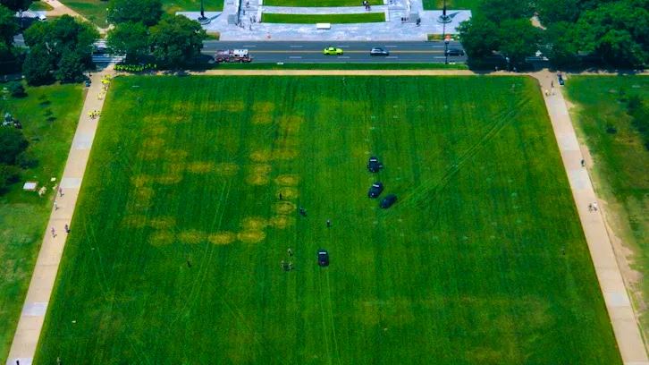 “86 47” on the National Mall: Mysterious numbers cause a stir | blue News