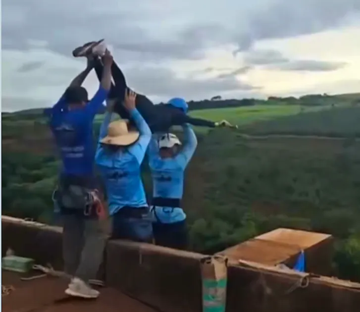 21-year-old Brazilian woman falls to her death while rope jumping ...