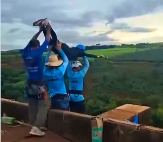 21-year-old Brazilian woman falls to her death while rope jumping ...