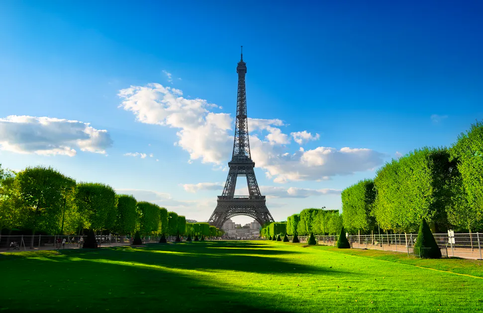 Flowers, thanks to our Bisi: Parisians are using Swiss urine as ...