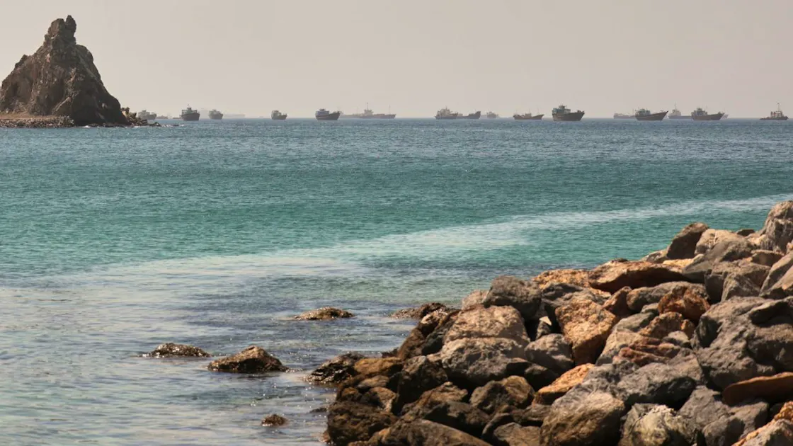 Politics: Iran Publishes Procedures for the Strait of Hormuz | blue News