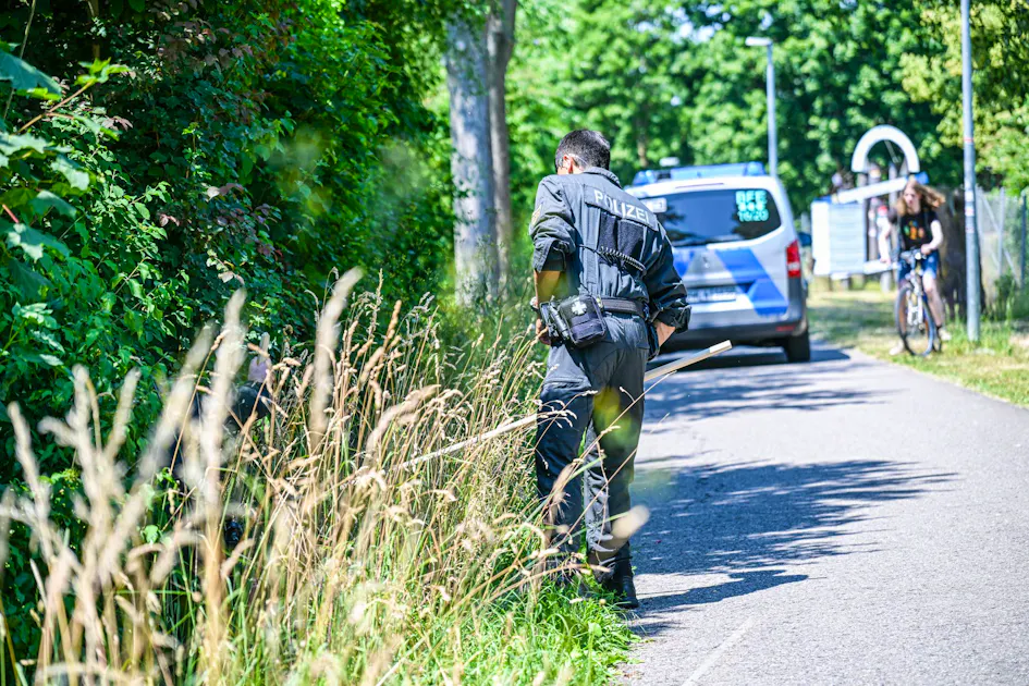 Baby Abducted from Stroller – Now Police Find a Body | blue News