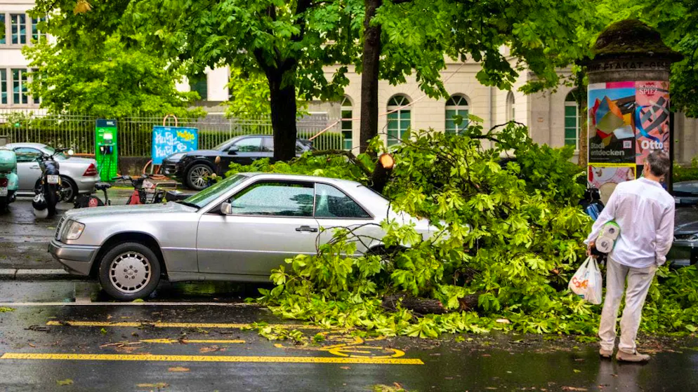 Severe Weather: Severe Thunderstorms: People Injured by Falling Trees ...